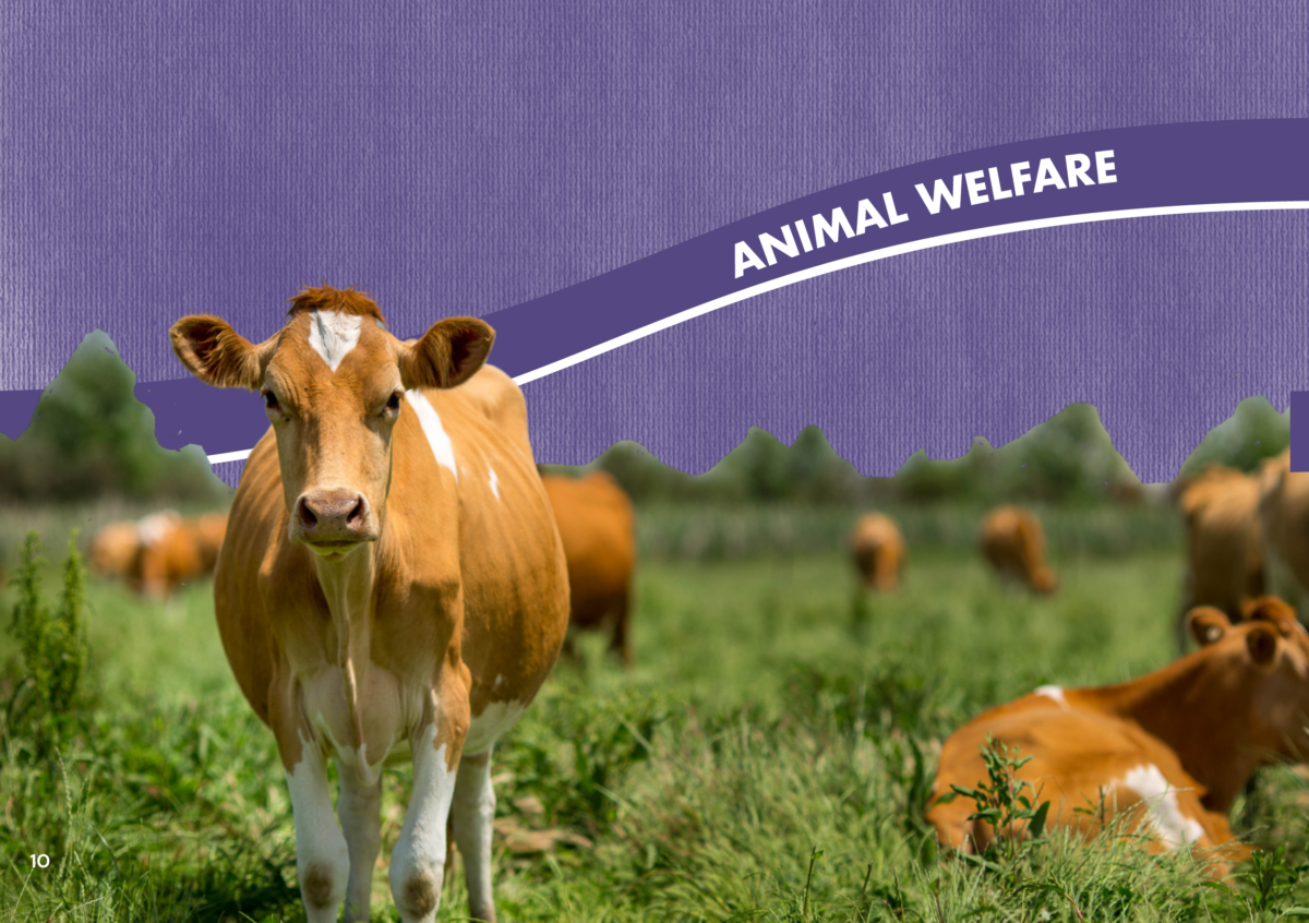 Introducing Good Food Purchasing Program: Purchasing Standards 3.0 ...